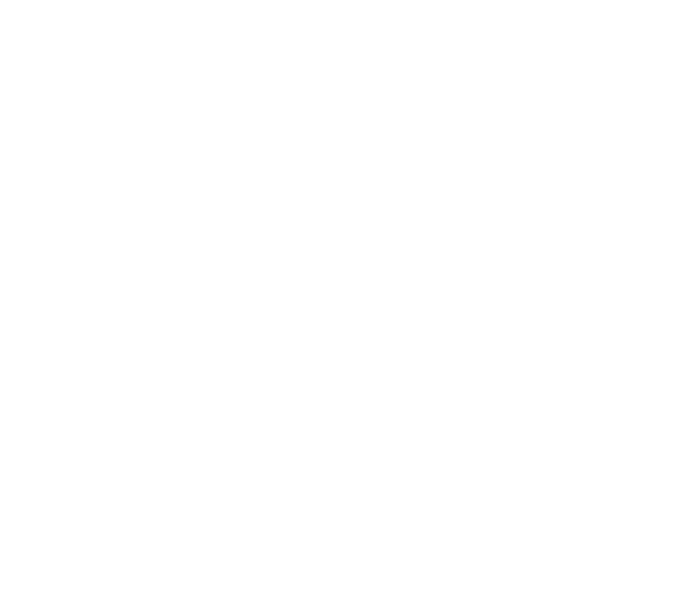 Clever Minds - Acceleratori di idee